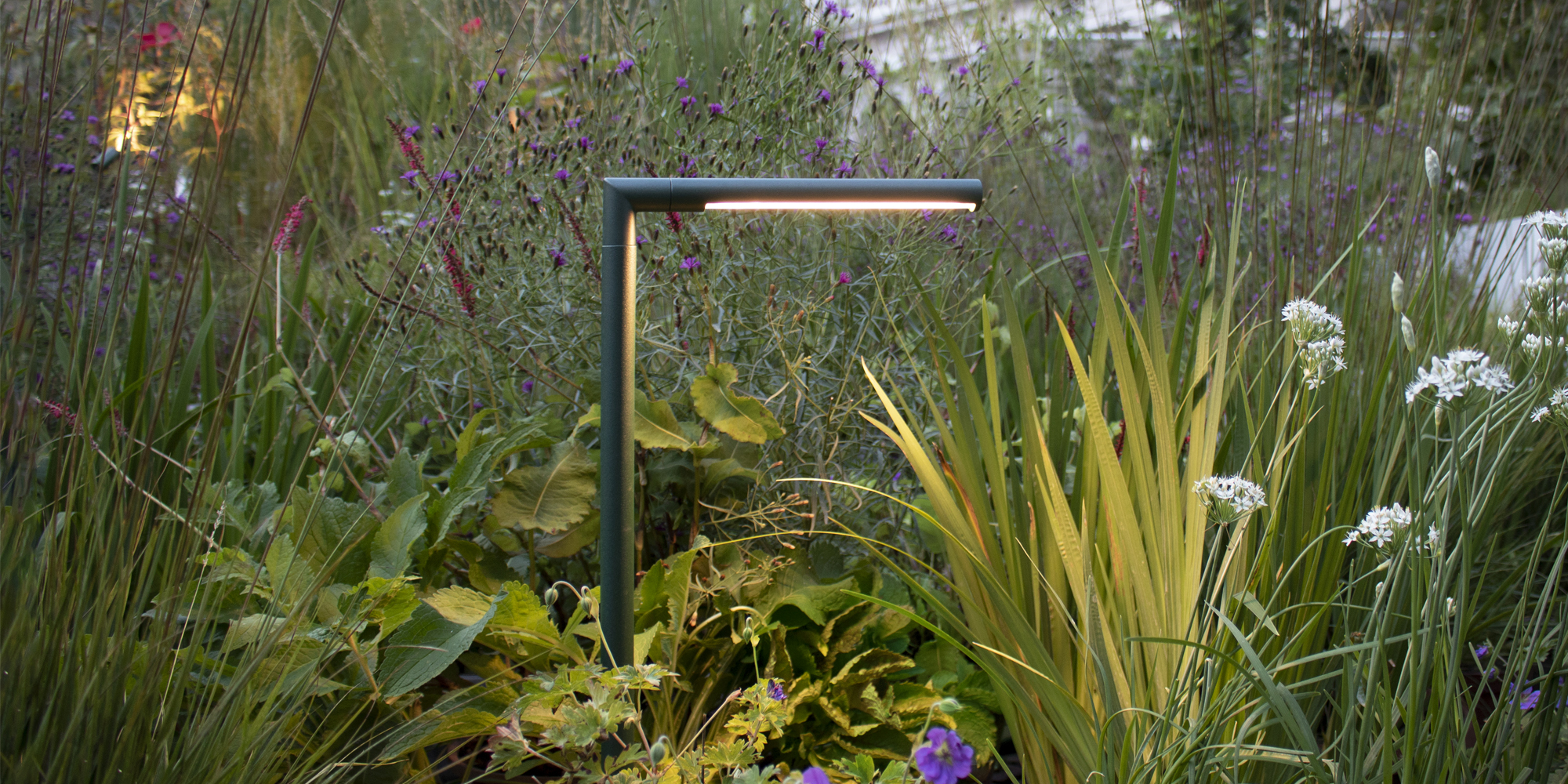 Lighting the landscape